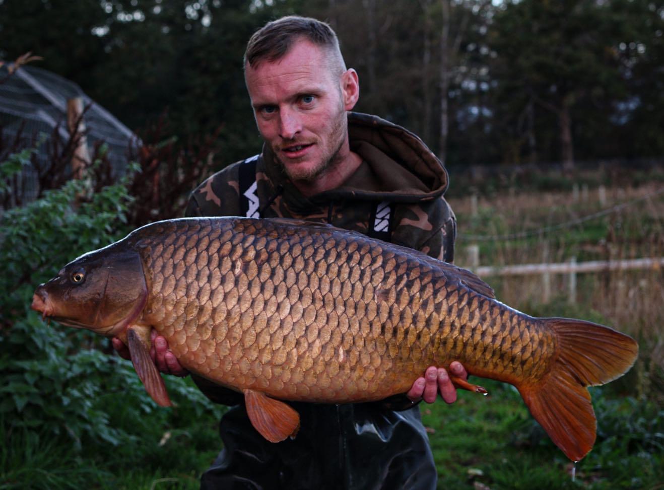 Common from Norton Disney | Total Carp